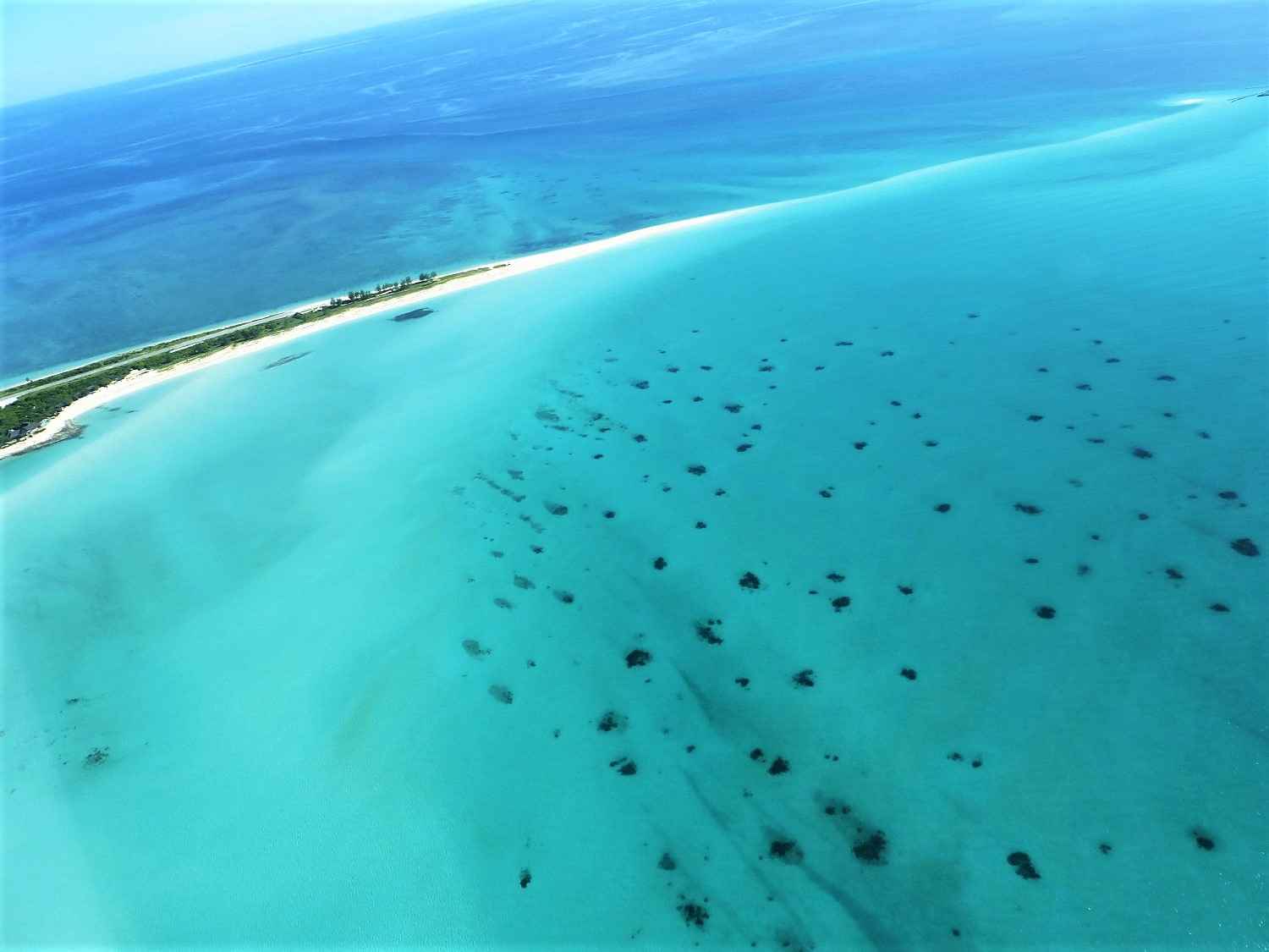Medjumbe Island - A Beautiful Place | Tess Paterson